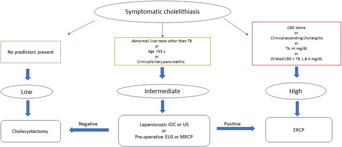 choledocholithiasis treatment algorithm