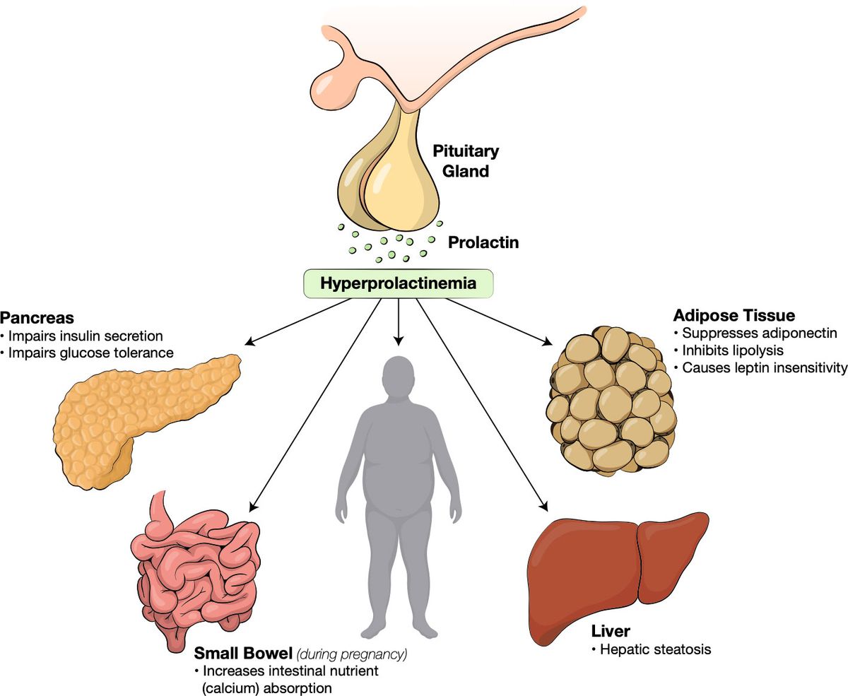 prolactin hormone function normal range