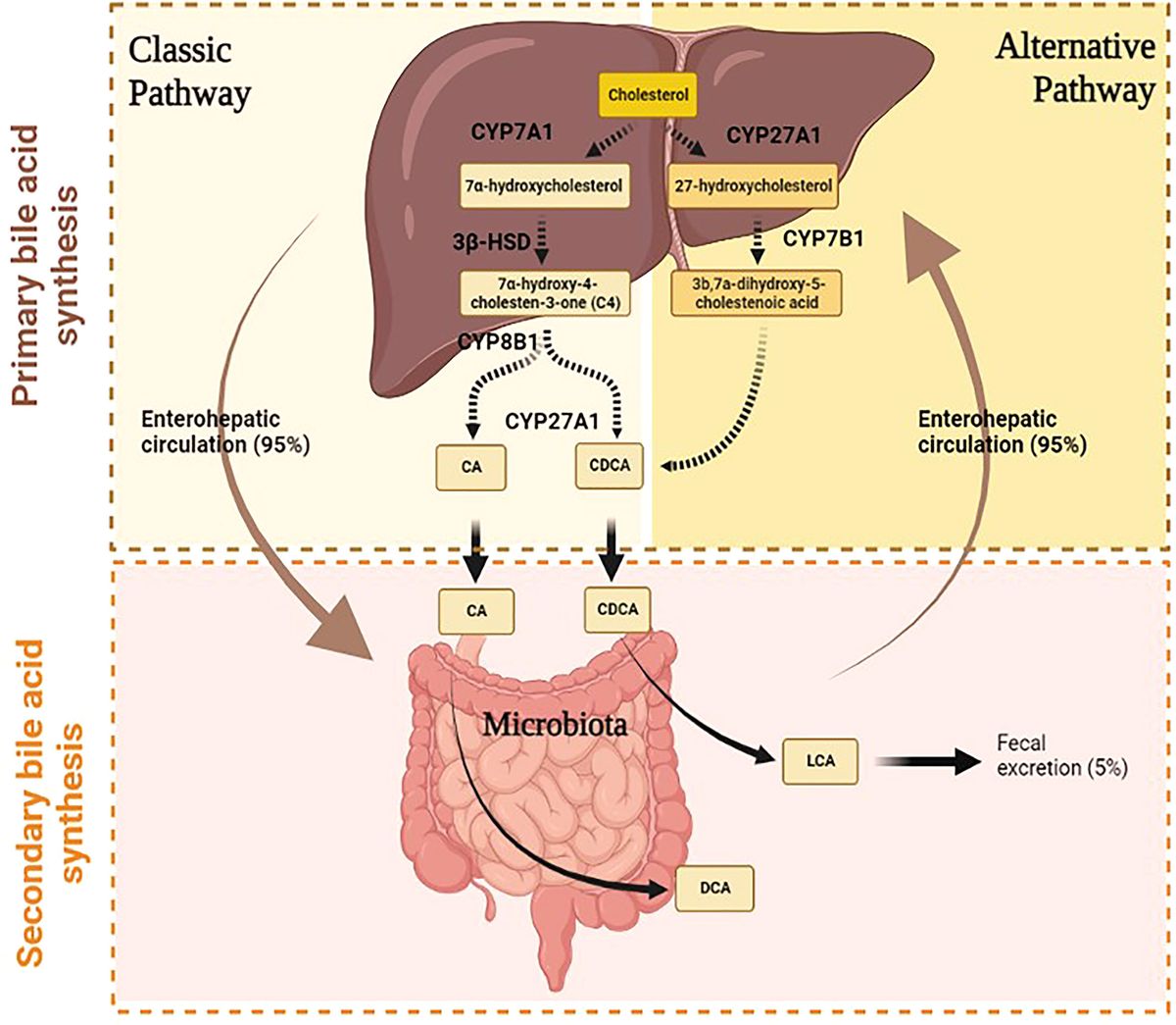 how to make your liver produce more bile
