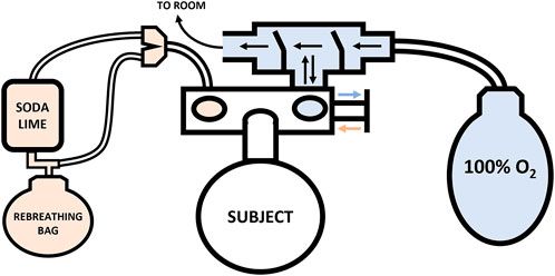 how to draw capillary blood gas