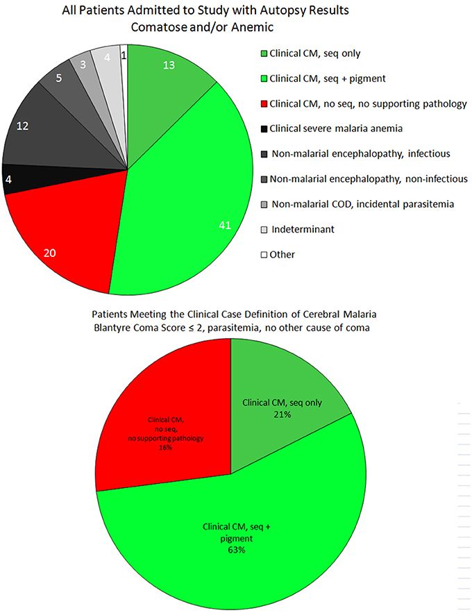 balantyre coma scale