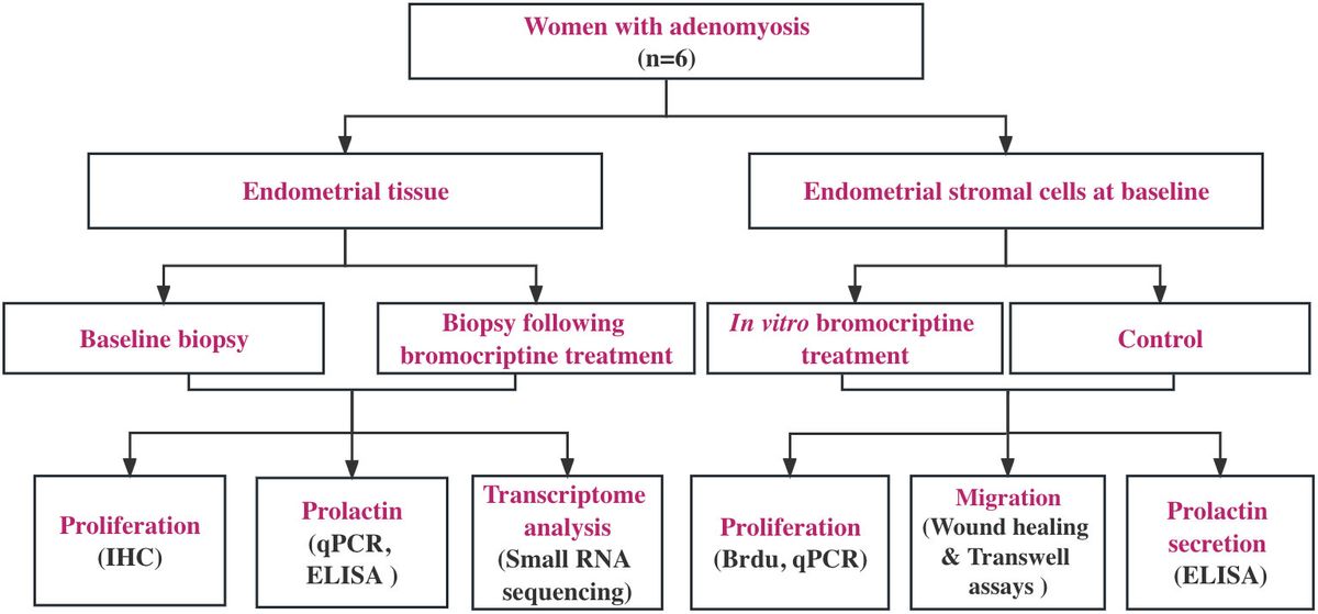 bromocriptine side effects