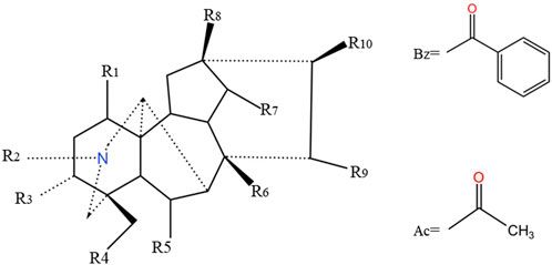 aconite root diagram