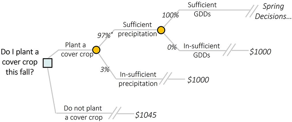 bruce reimer case study