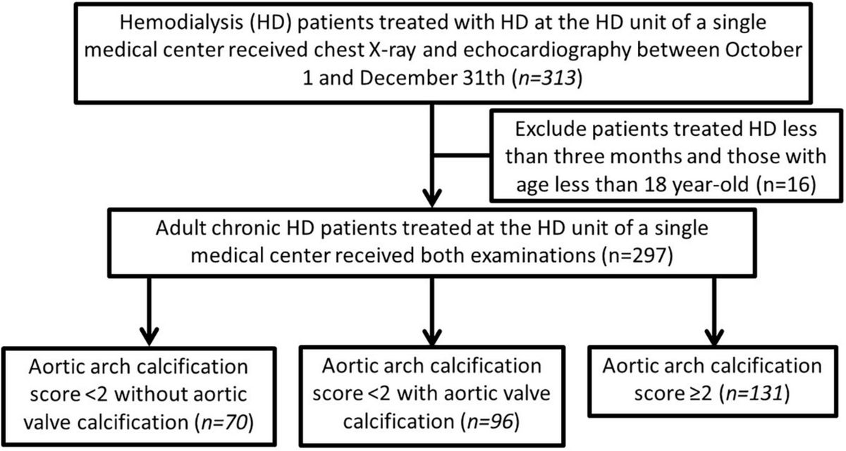 aortic arch calcification causes