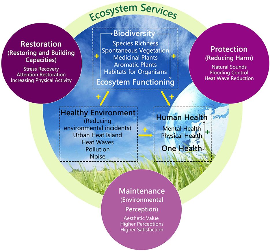 biodiversity ecosystems