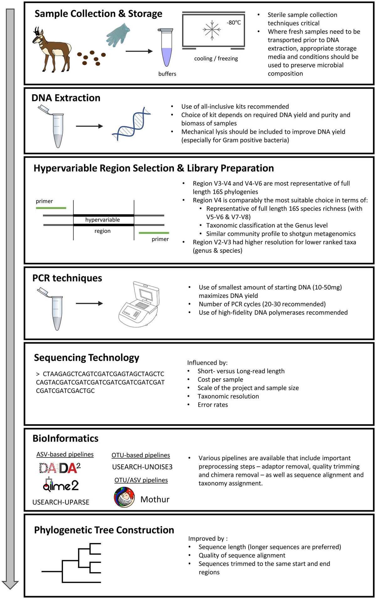 da form 5515 example