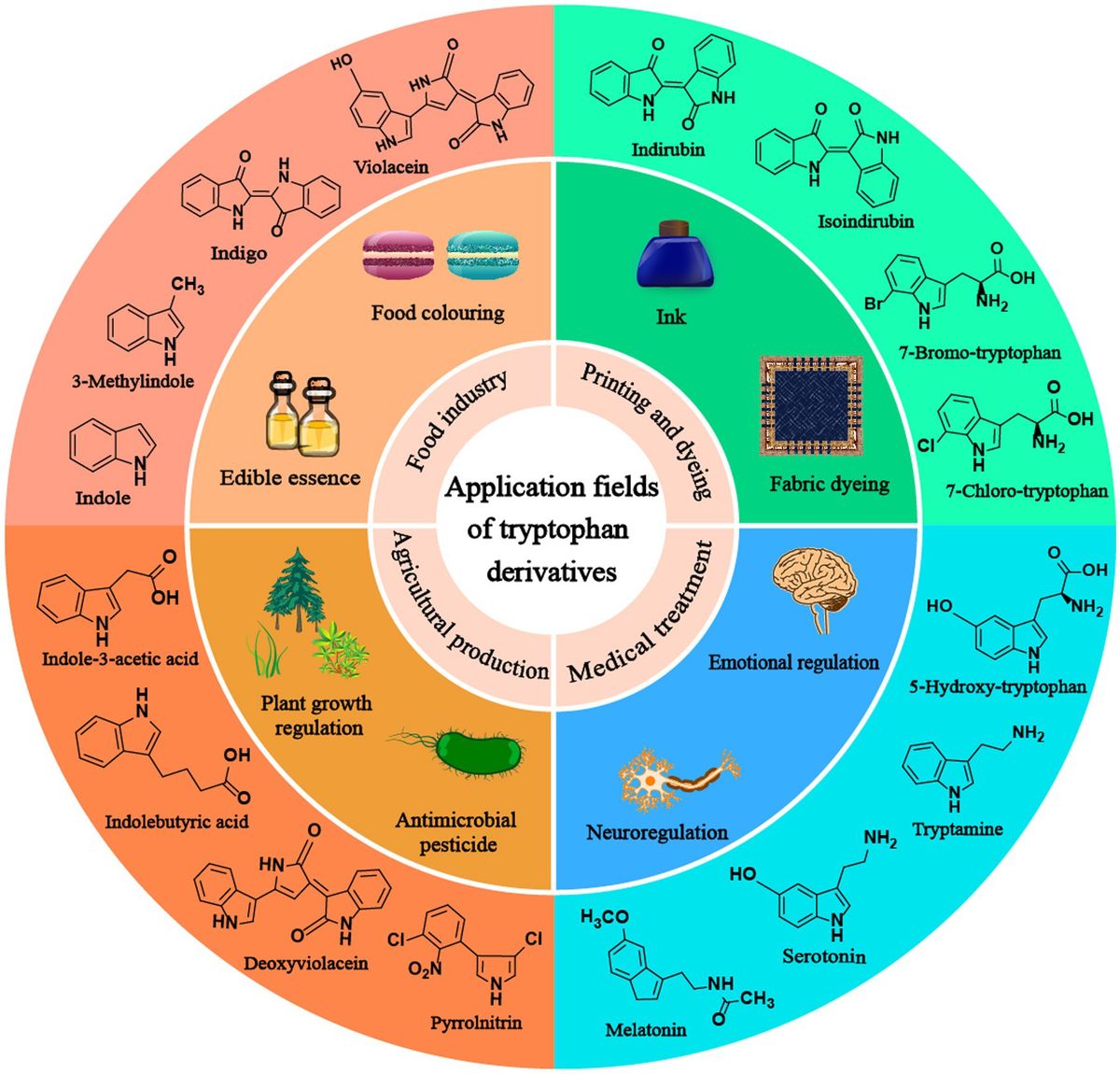 tryptophan structure indole ring