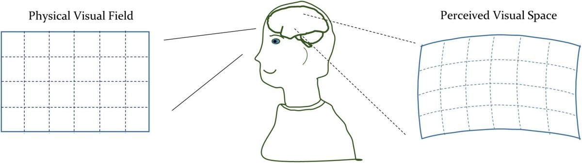 visual spatial disorder