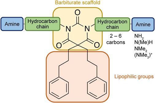 barbiturates structure with numbering