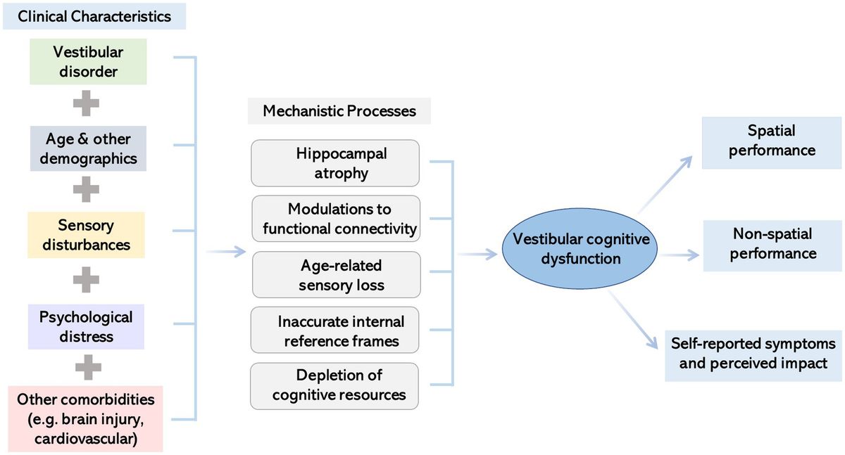 complex vestibular disorder