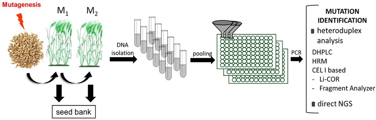 till science example