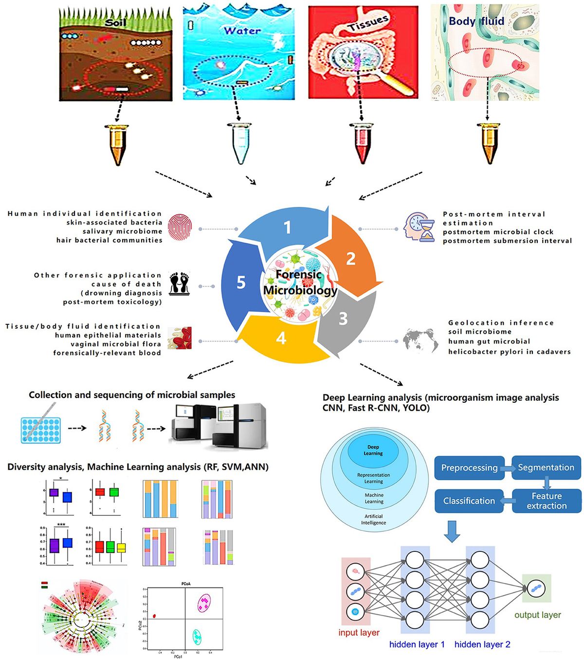 forensic authorship analysis
