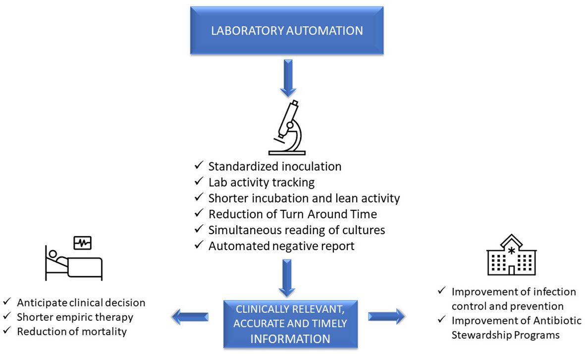 what is automation in laboratory