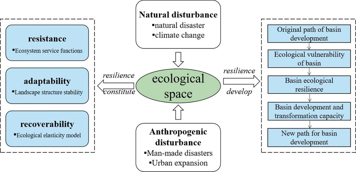 vertical and horizontal ecological structures