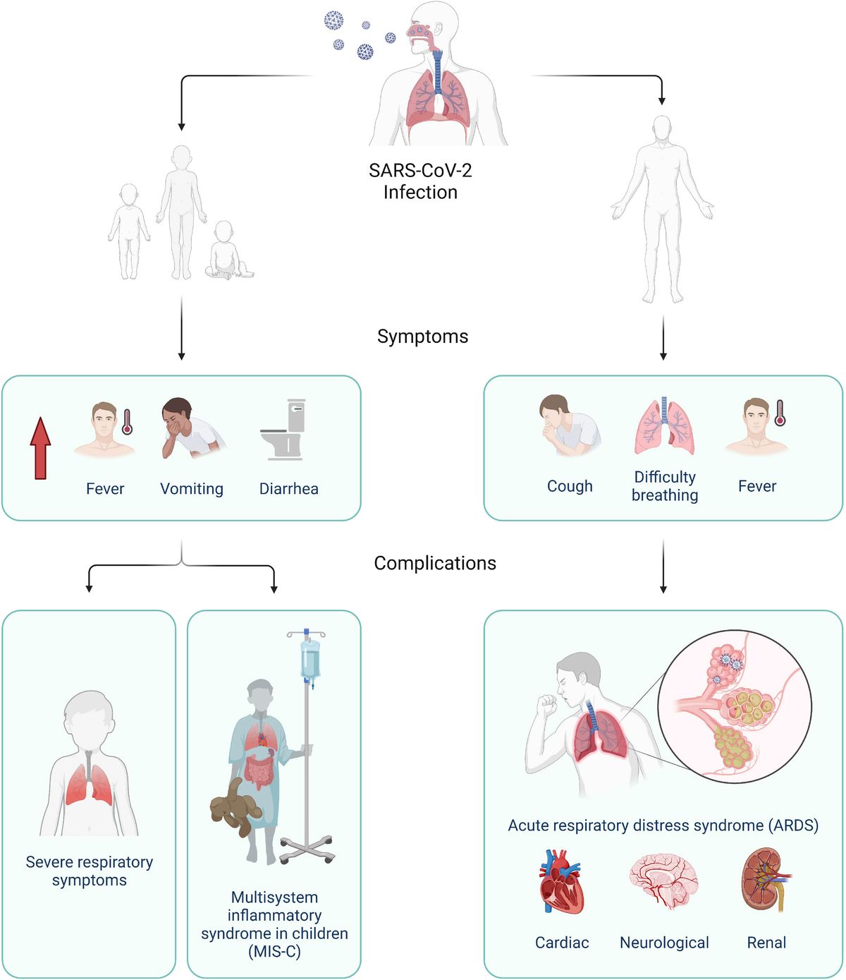 sars symptoms include ____