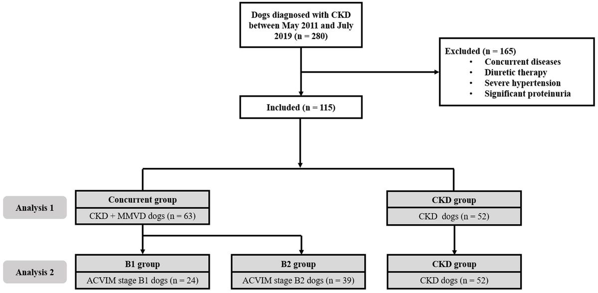 iris staging cat chart