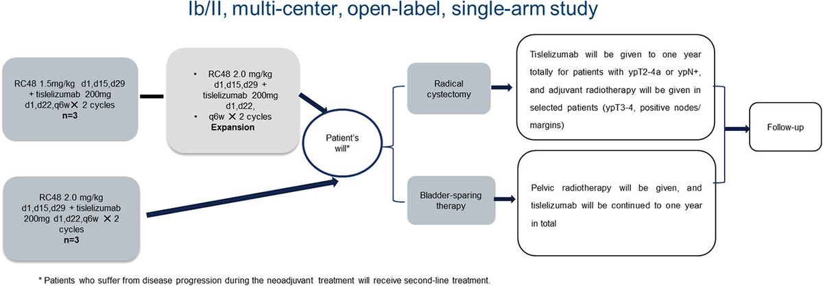 open label single arm study
