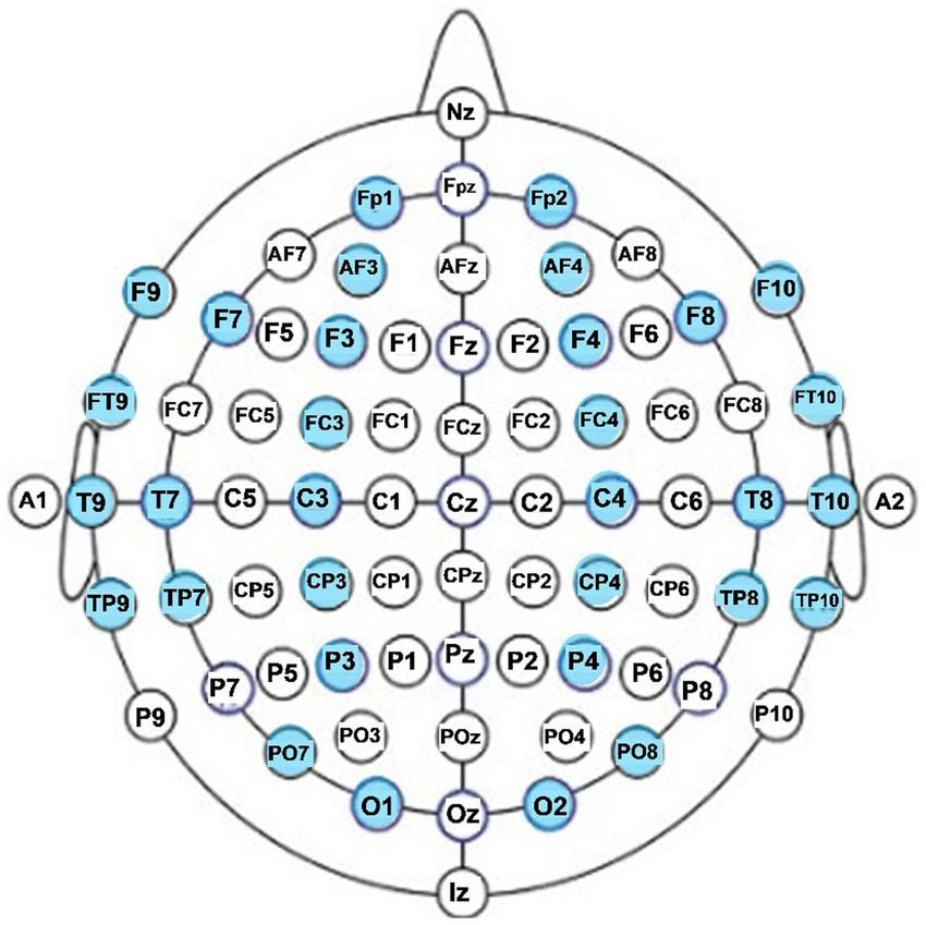 difference between qeeg and eeg