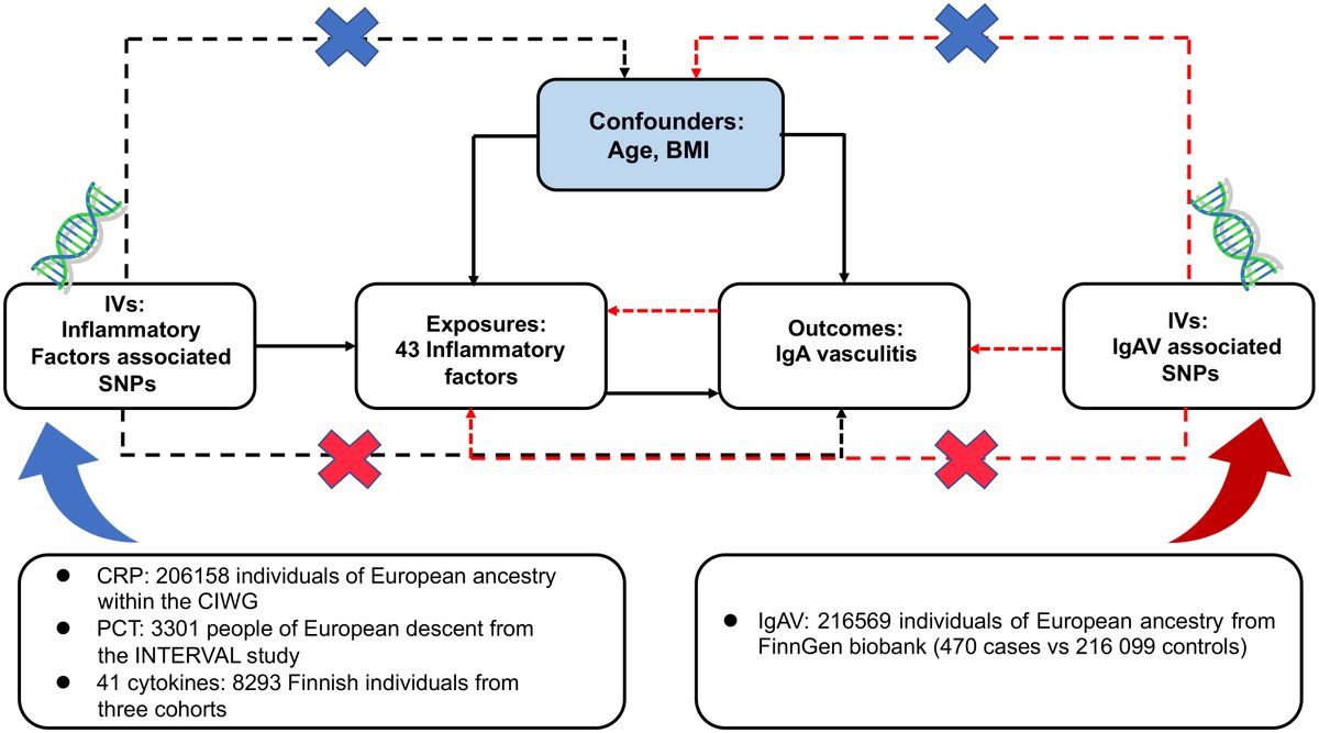 elevated crp vasculitis