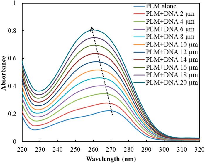 plasmonics plm