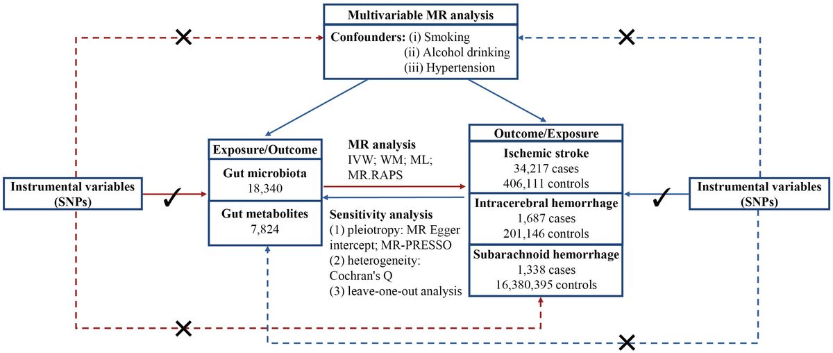 multivariable mr