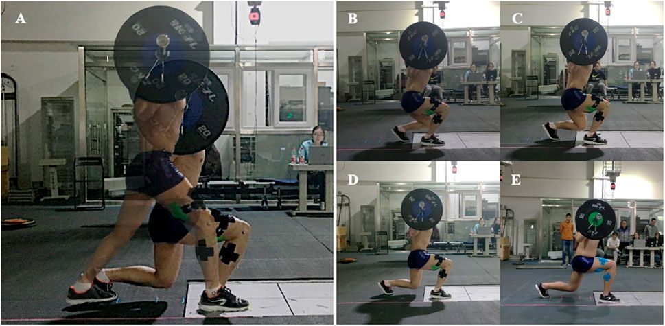 squat biomechanical analysis