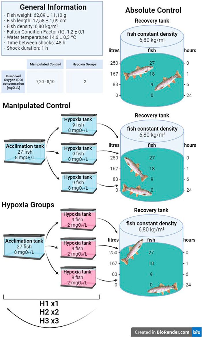 patrick petitjean physio