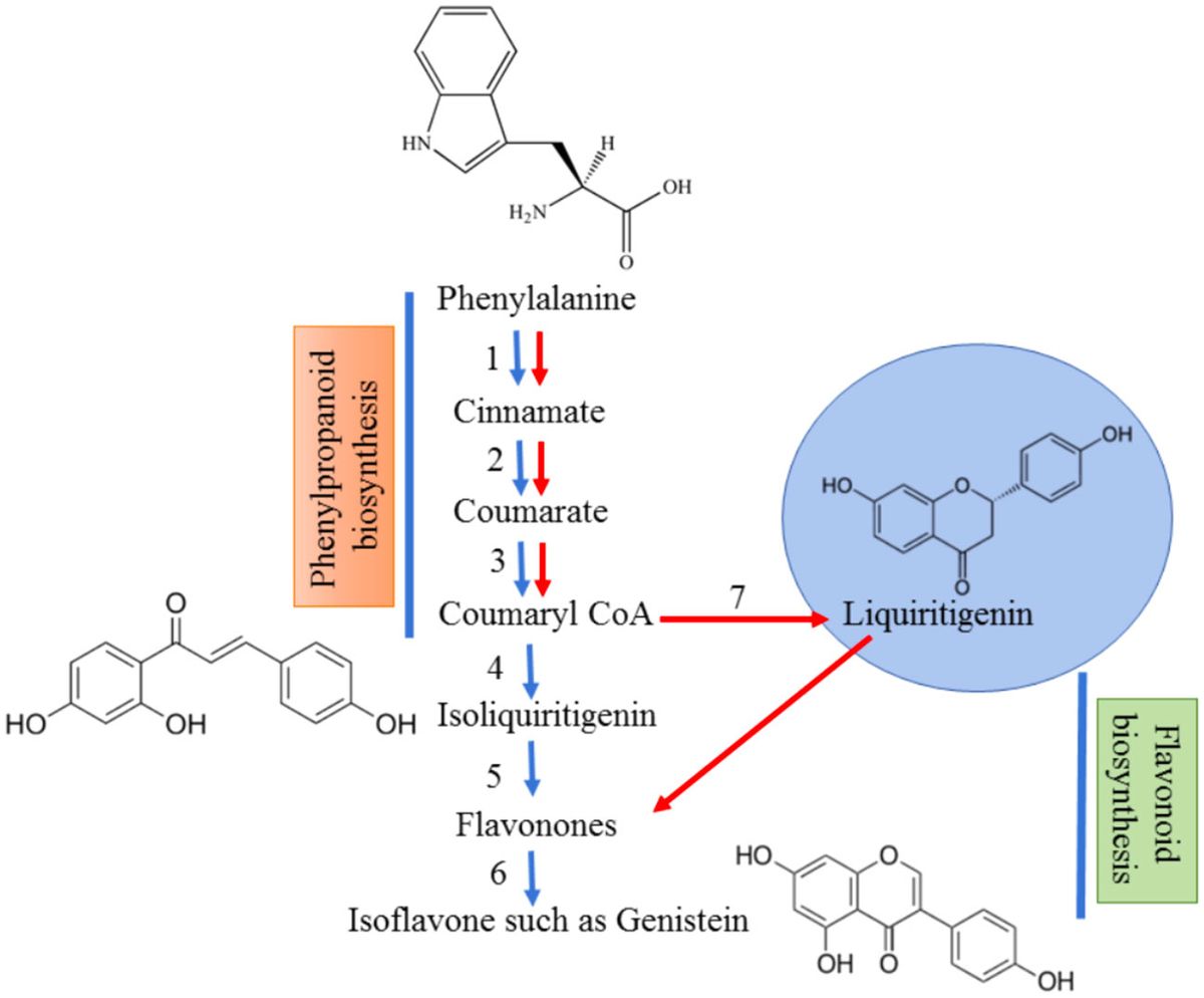 flavonoid structure journal