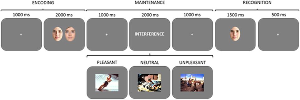 short term memory interference