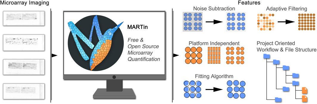quantification logic pro