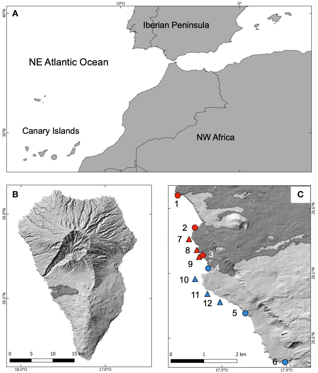 primary and secondary succession 125 words