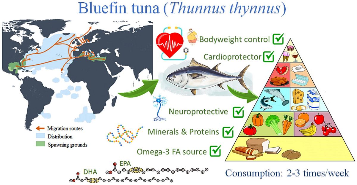 what nutrients are in tuna fish