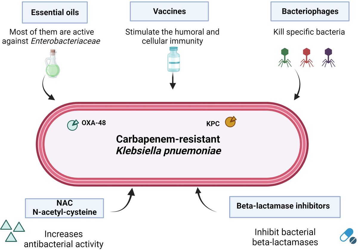 enterobacteriaceae nhs
