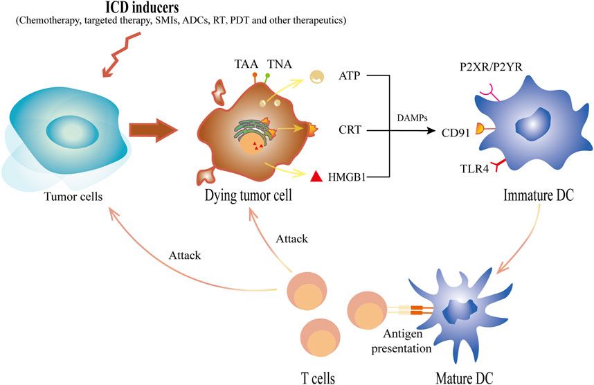compound presentation icd 10