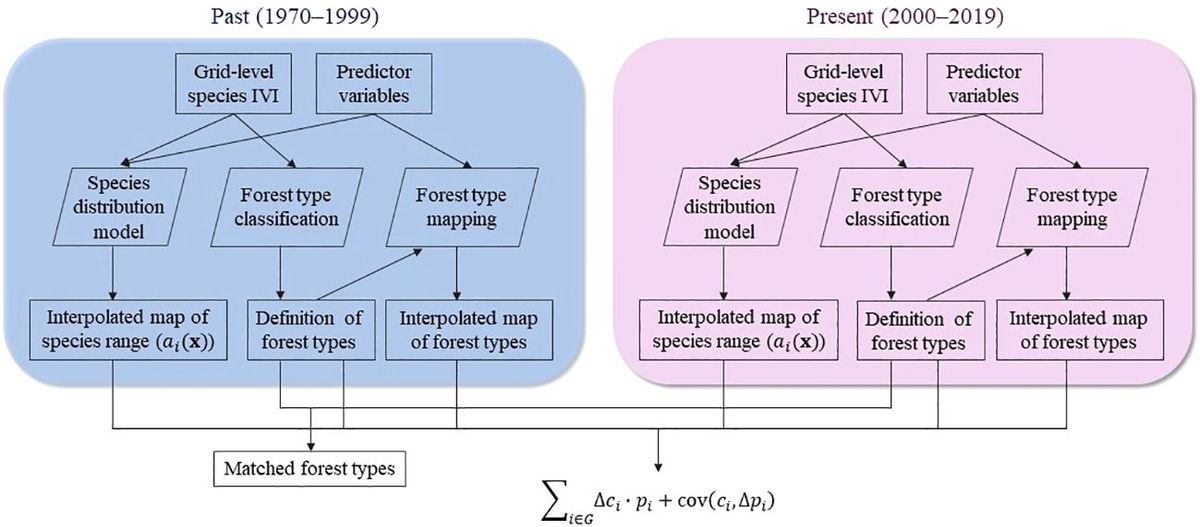 forest development types