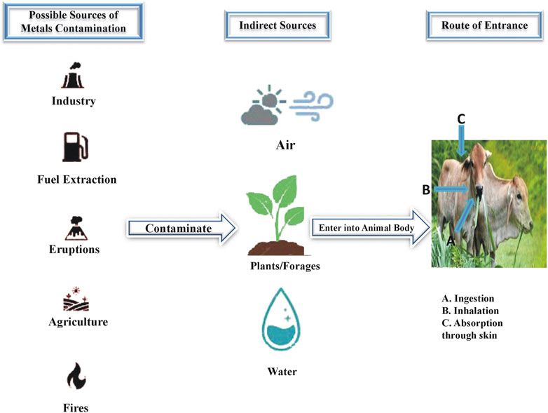 how does lead affect animals