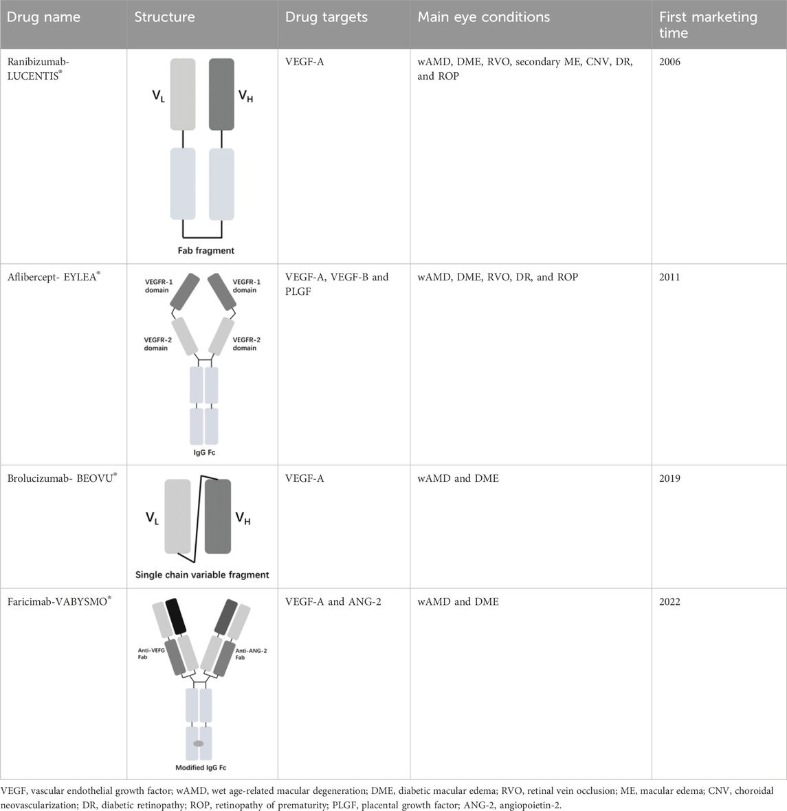 eylea molecular structure