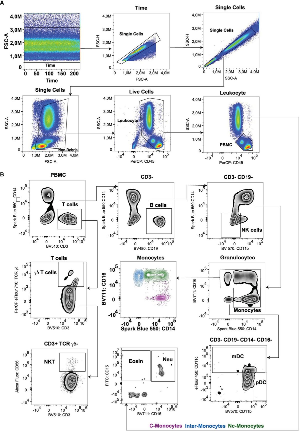 normal monocytes range