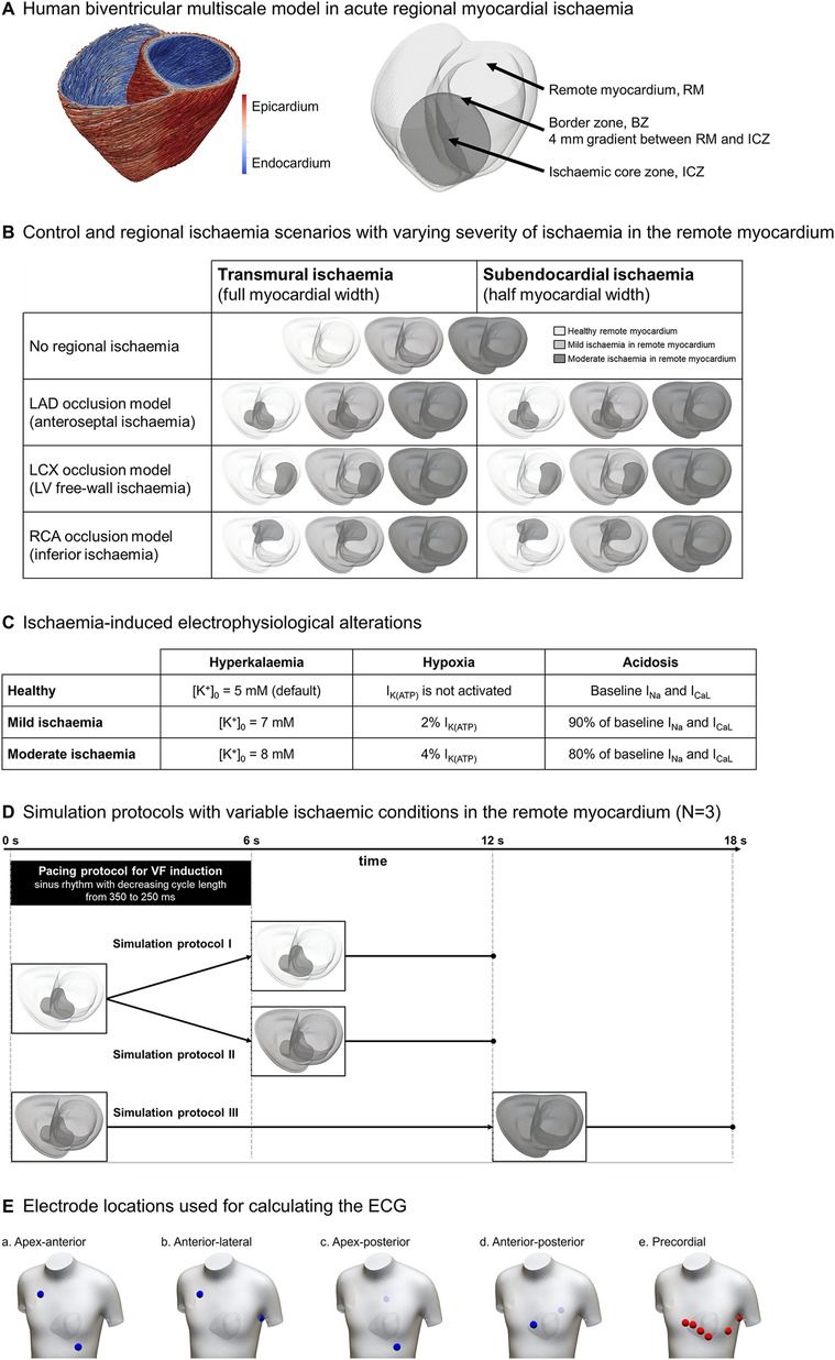 santos ramirez dexter