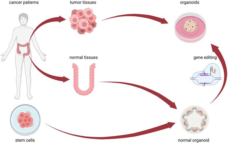 ranga ring side effects