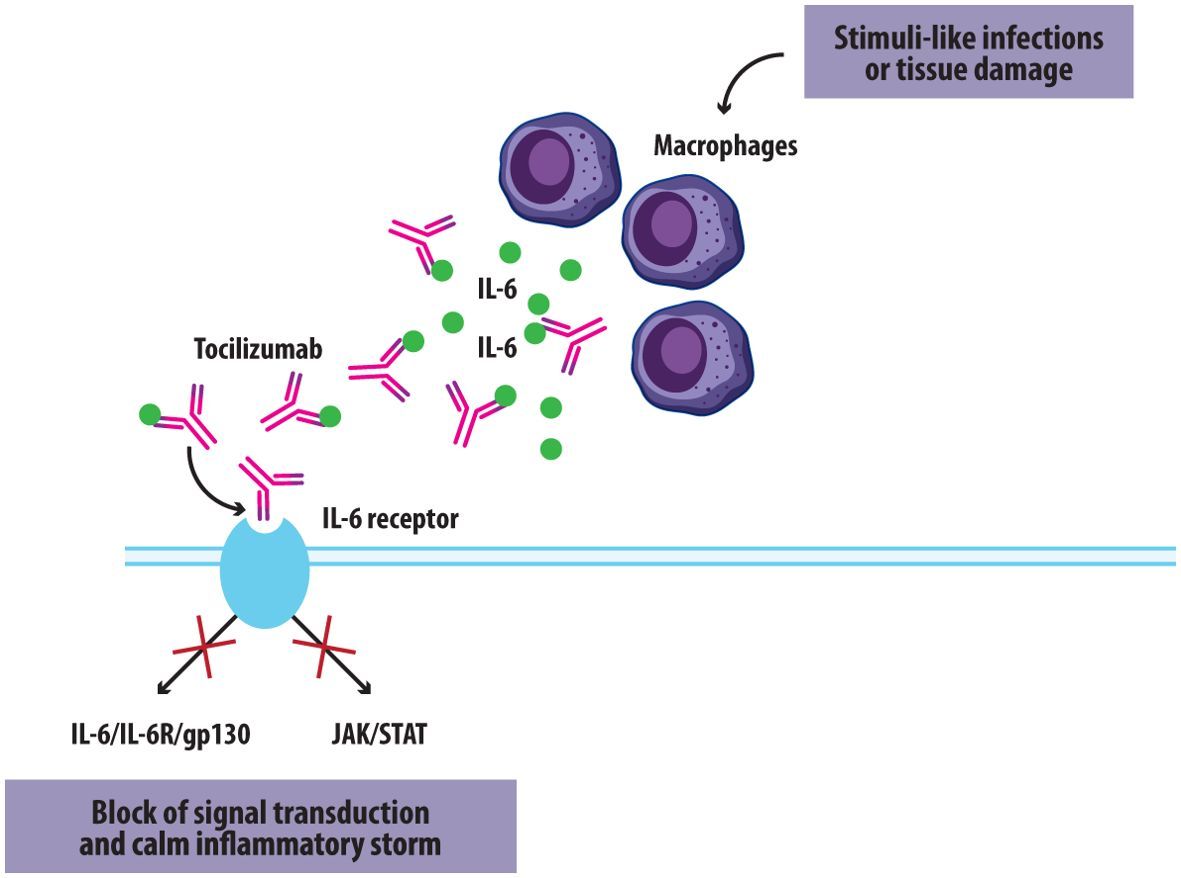 actemra side effects