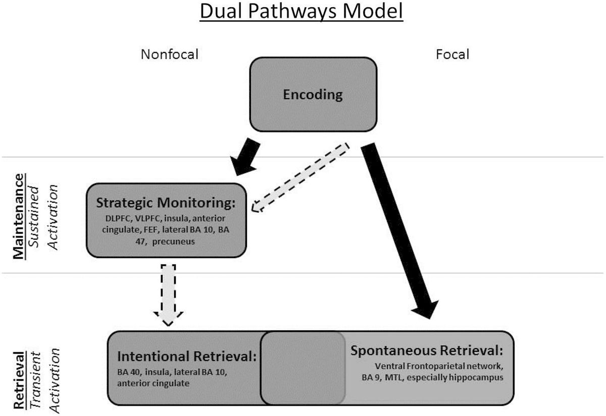 memory retrieval process