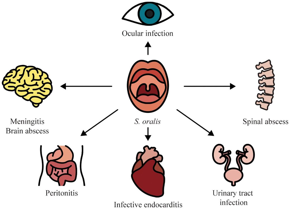 cannot be underestimated synonym