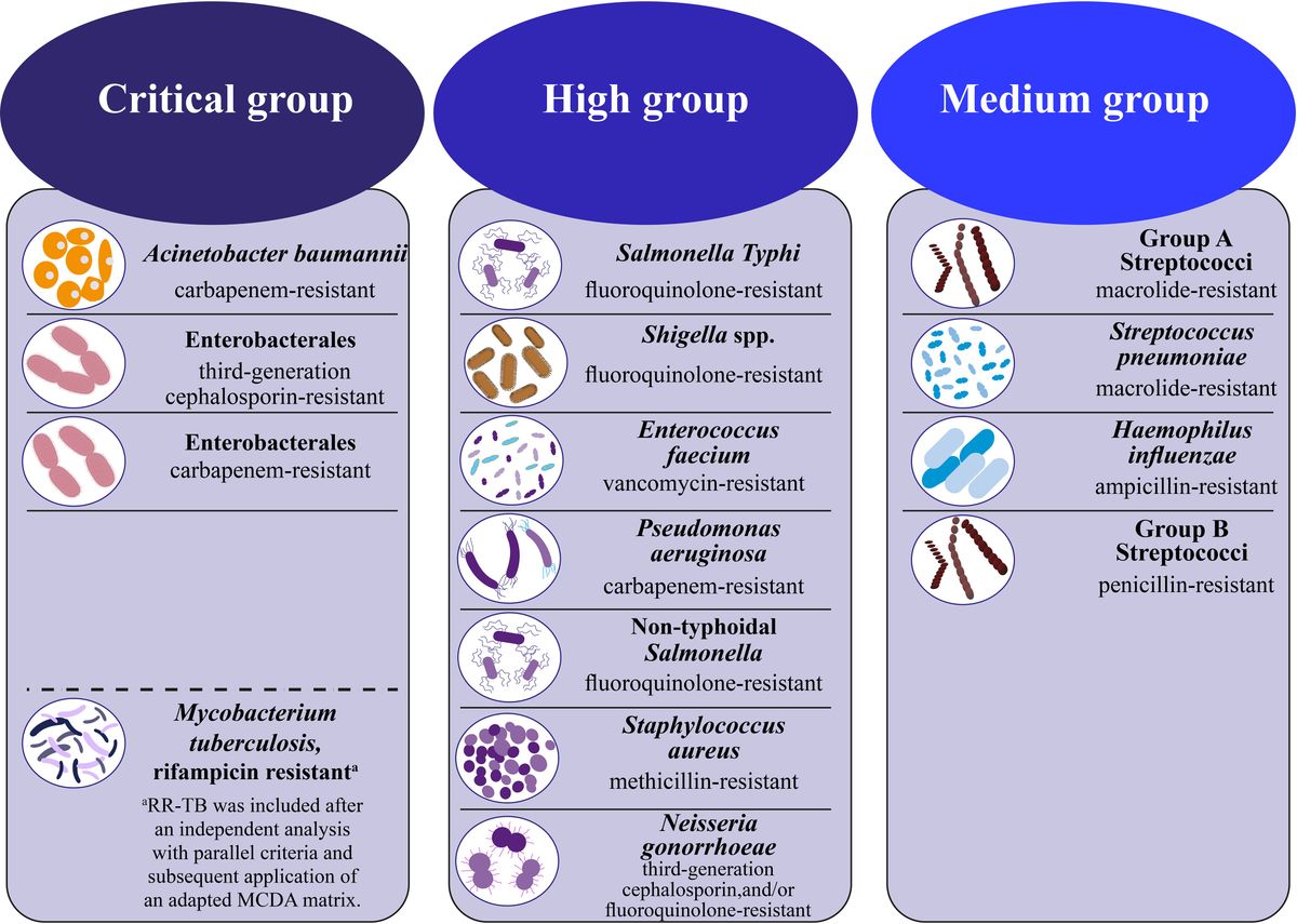 antibiotic resistant bacteria examples