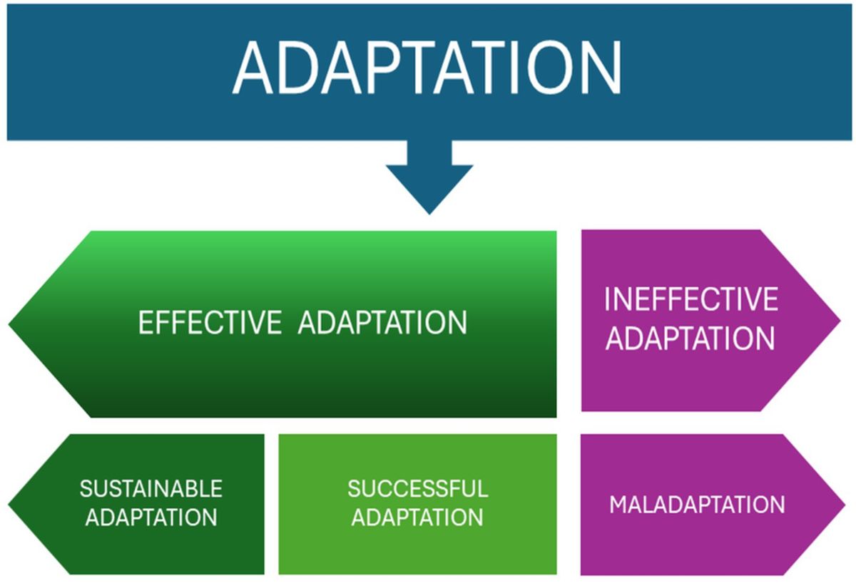 displacement science synonym