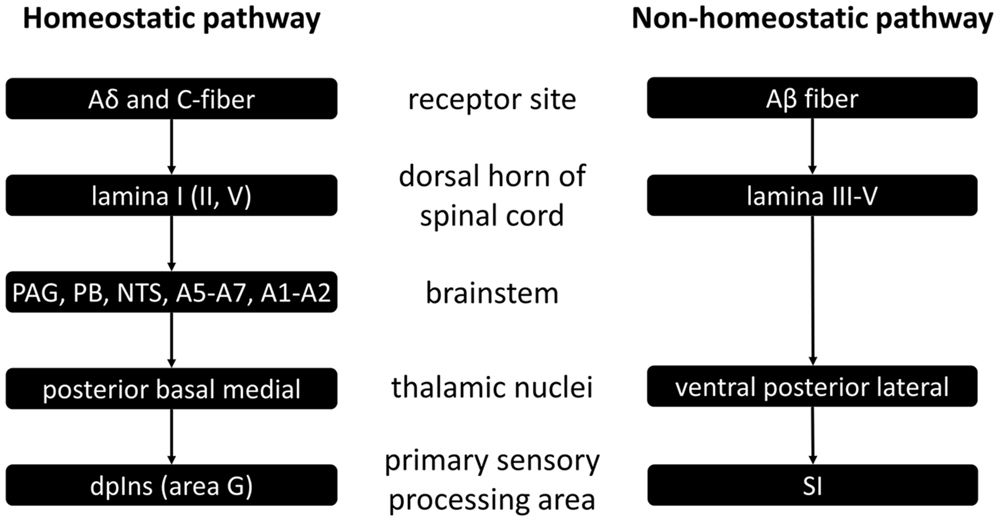 manipulate etymology