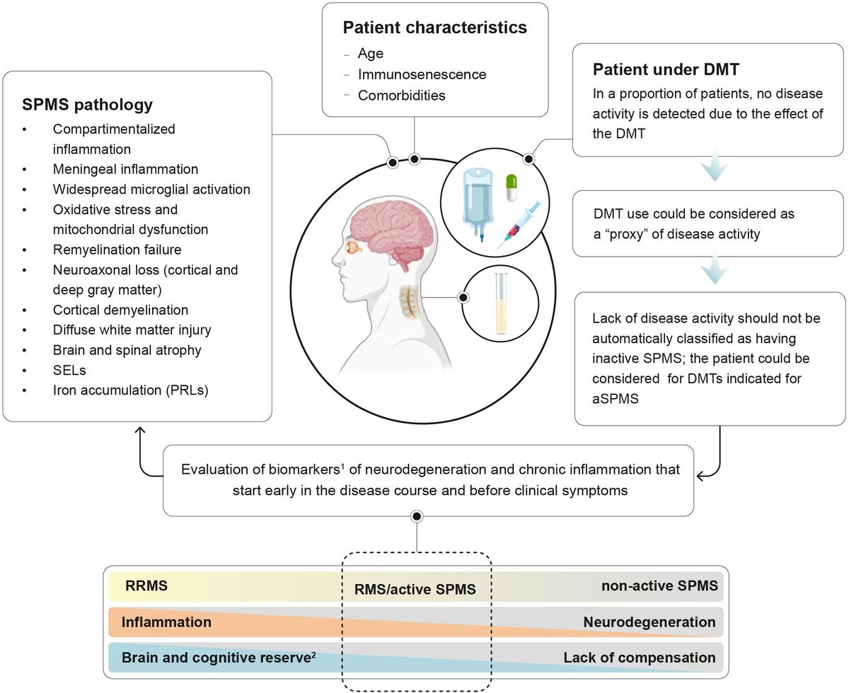 when does spm get released