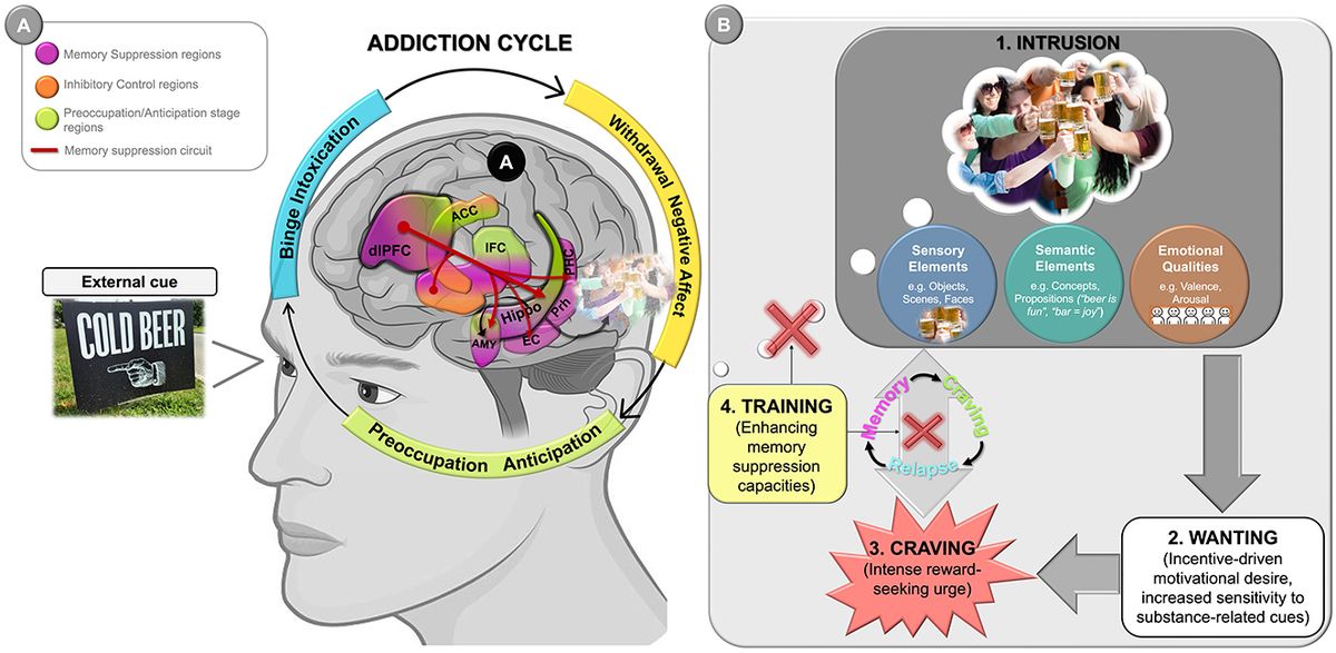 inhibitory control
