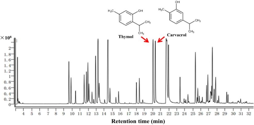 how does carvacrol kill bacteria